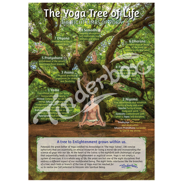 Yoga Posters - Collection of 10 | Tinderbox