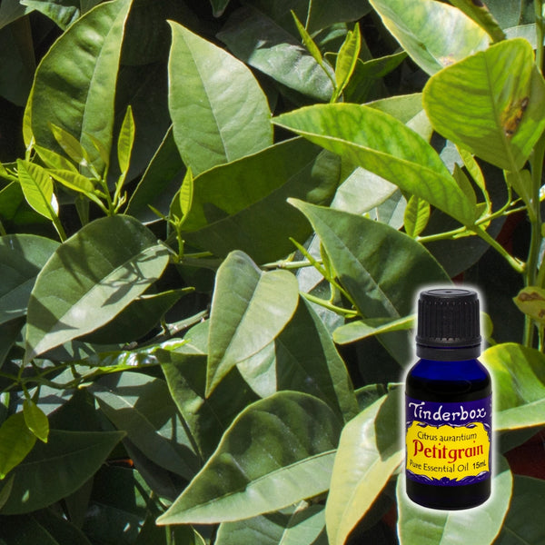 Petitgrain Essential Oil | Tinderbox