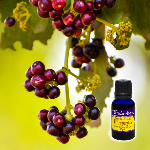 Pimento Essential Oil | Tinderbox