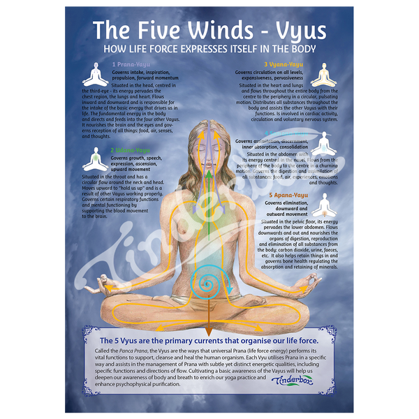 Yoga Posters - Collection of 10 | Tinderbox