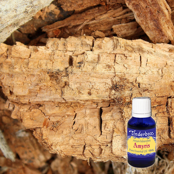 Amyris Essential Oil | West Indian Sandalwood | Tinderbox