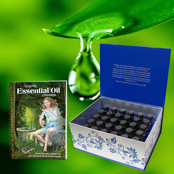 Essential Oils Aromatherapy Treasure Box | Tinderbox