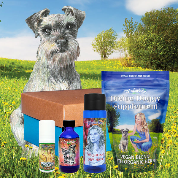 Dog Care Gift Set | Natural Products for Dogs | Tinderbox