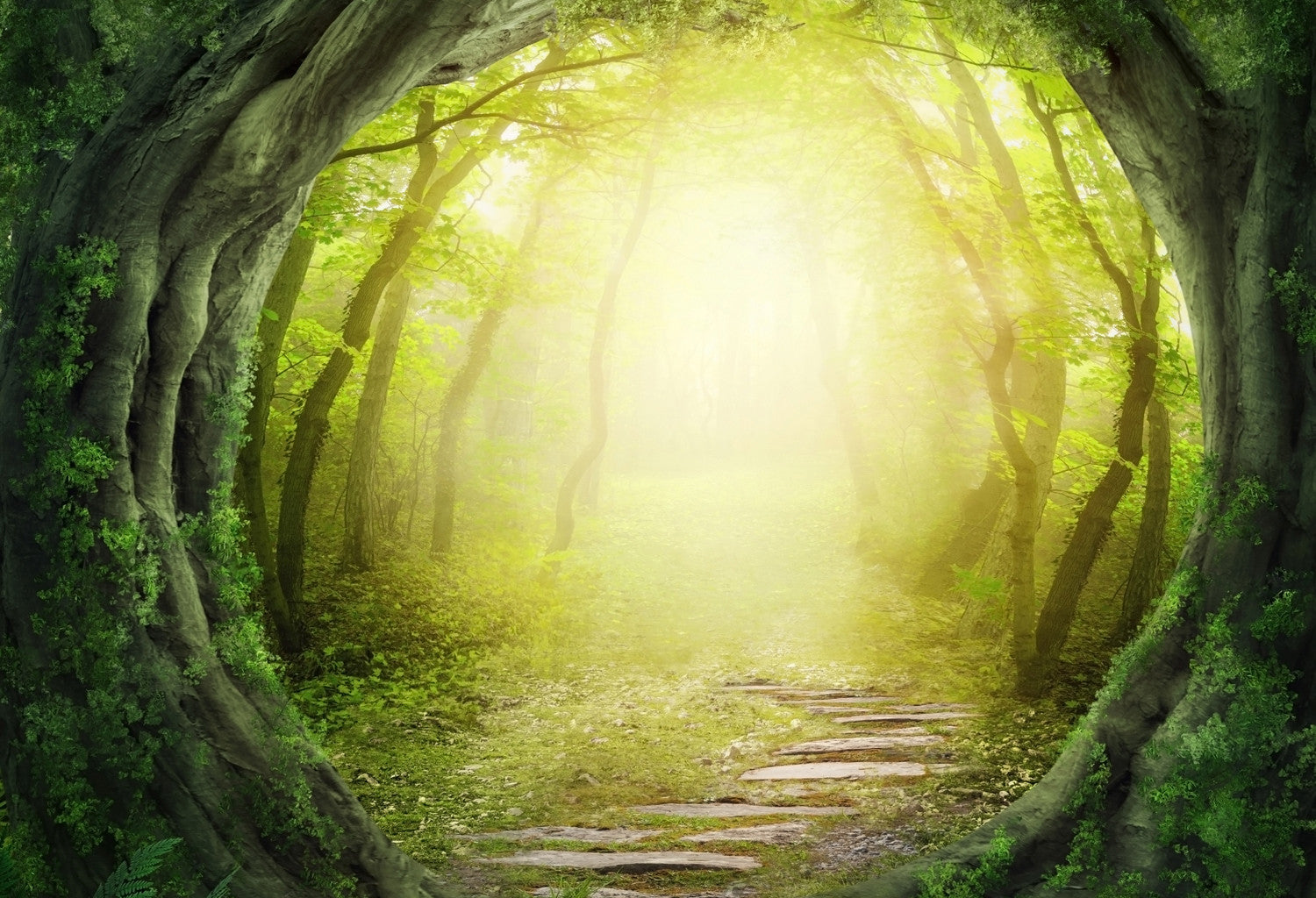 Contact Tinderbox in Western Australia